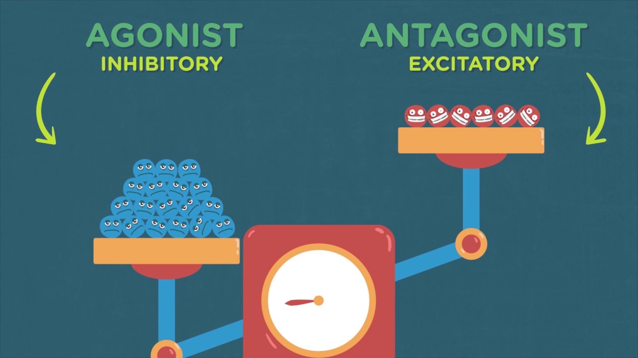 How Alcohol Affects Your Developing Brain
