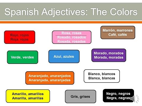 Señor Hey's Spanish Course - Lesson 9: Spanish Adjectives