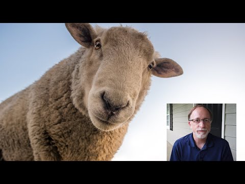 Jacob's Livestock Breeding Experiment