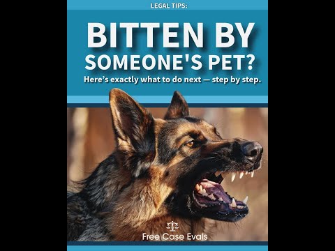 Bitten by a pet? Here's what you should do