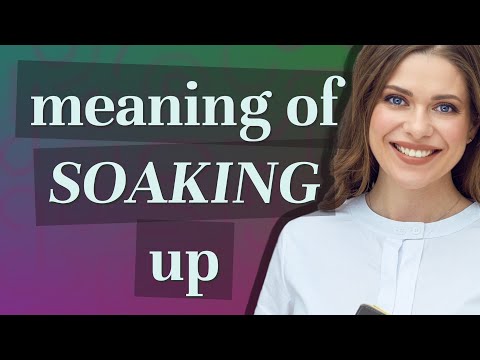 Soaking up | meaning of Soaking up