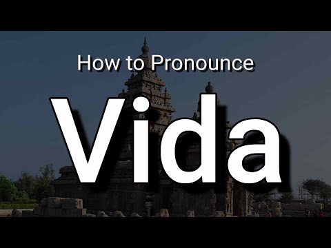 Vida - Two Ways to Pronounce and Meaning
