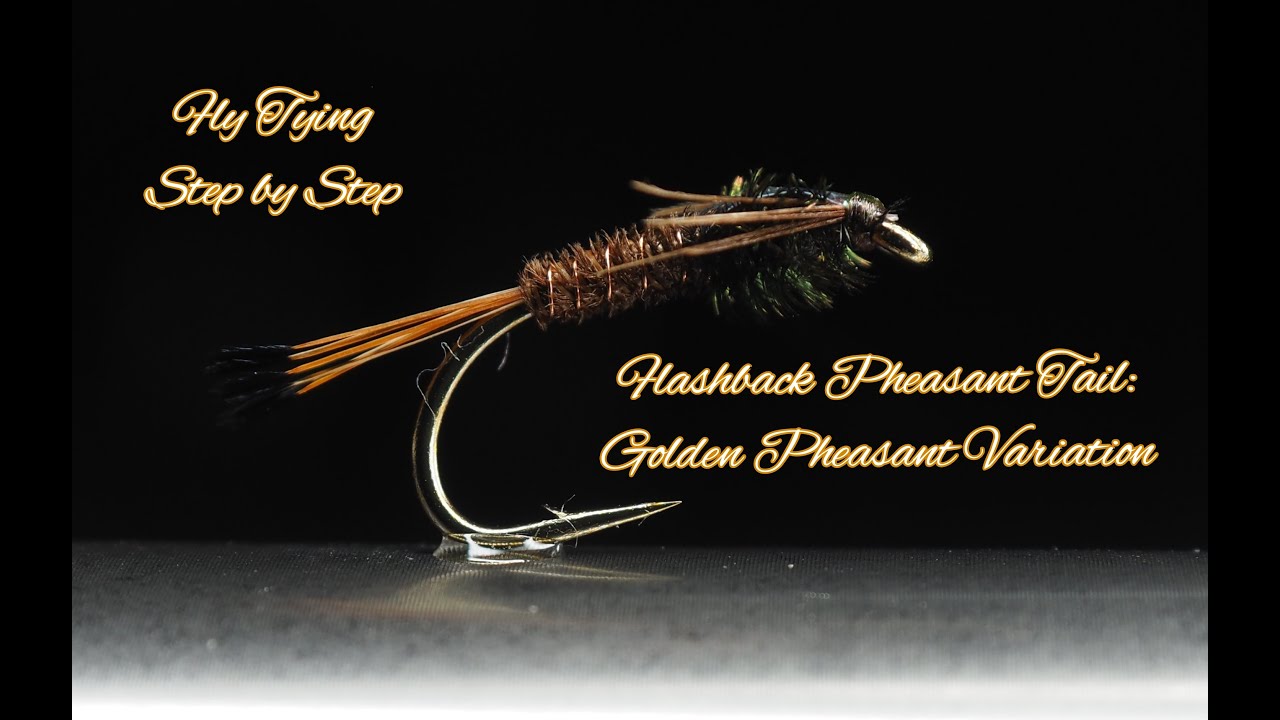 Flashback Pheasant Tail - Golden Pheasant Variation: Fly Tying Step by Step