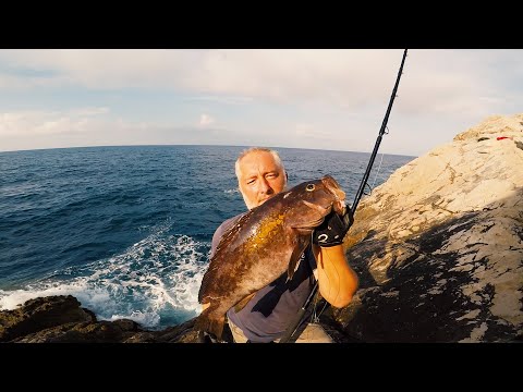 Catch & Cook beautiful Golden Grouper | Traditional Dalmatian stew "Popara"