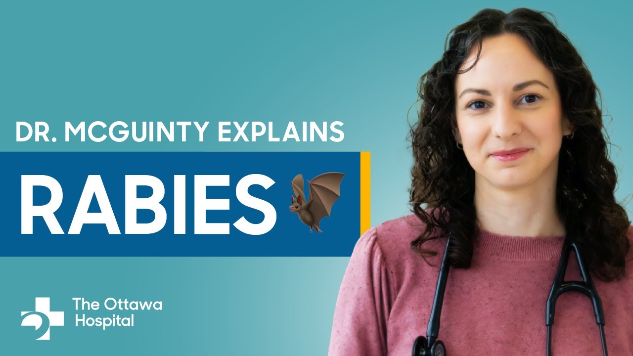 Everything you need to know about rabies