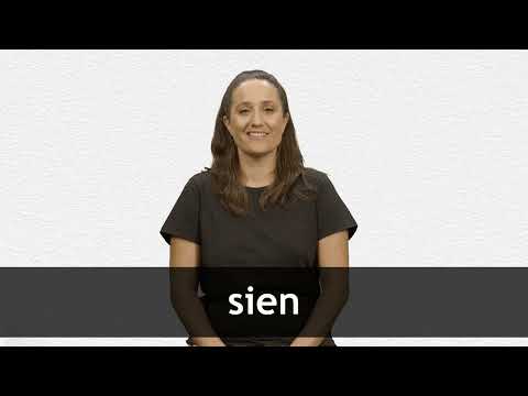 English Translation of “SIEN” | Collins French-English Dictionary