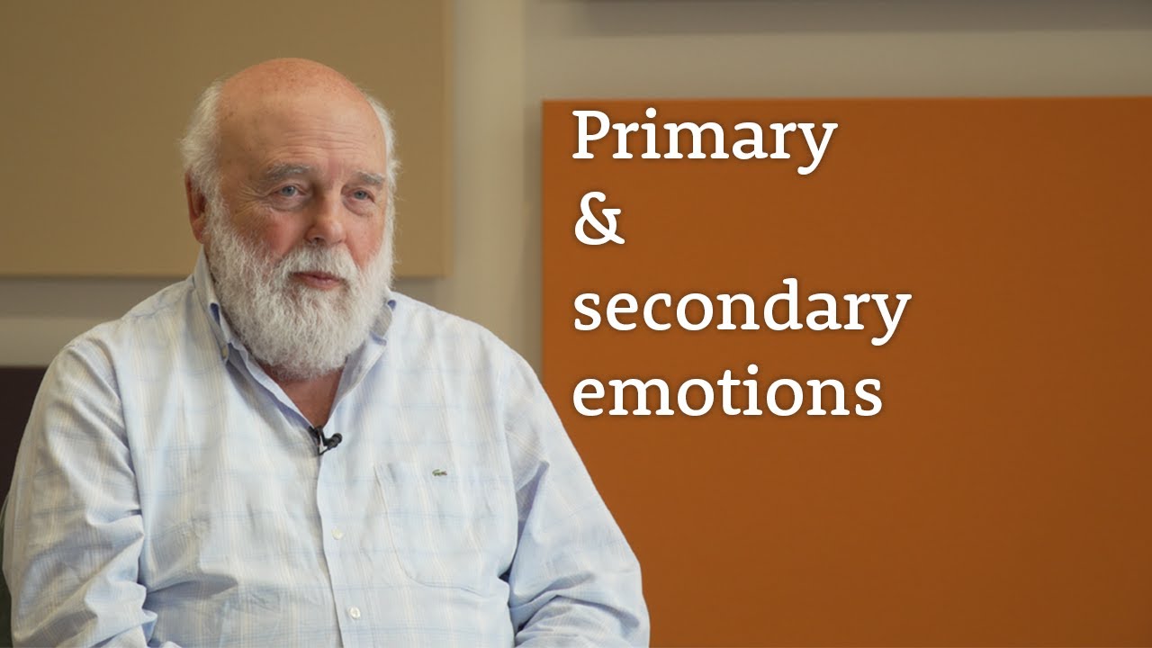 What is the difference between primary and secondary emotions?