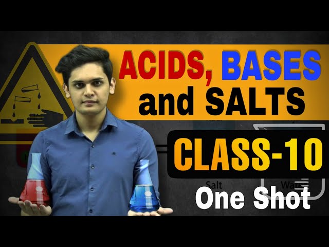 Understanding Acids, Bases, and Salts: A Comprehensive Guide for Class 10 Students | Galaxy.ai