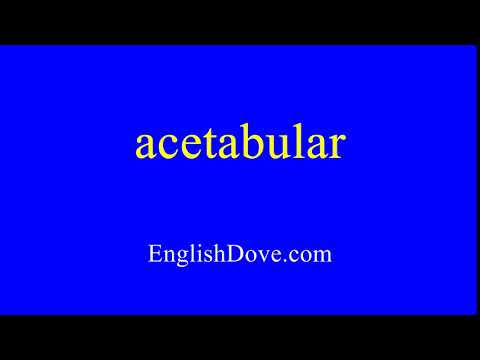How to pronounce acetabular in American English.