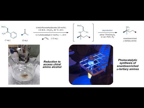 Synthesis Workshop