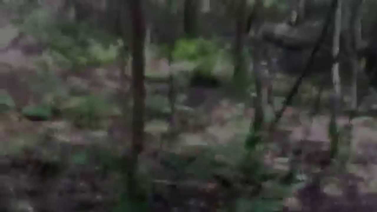 Code Runner - teaser trailer