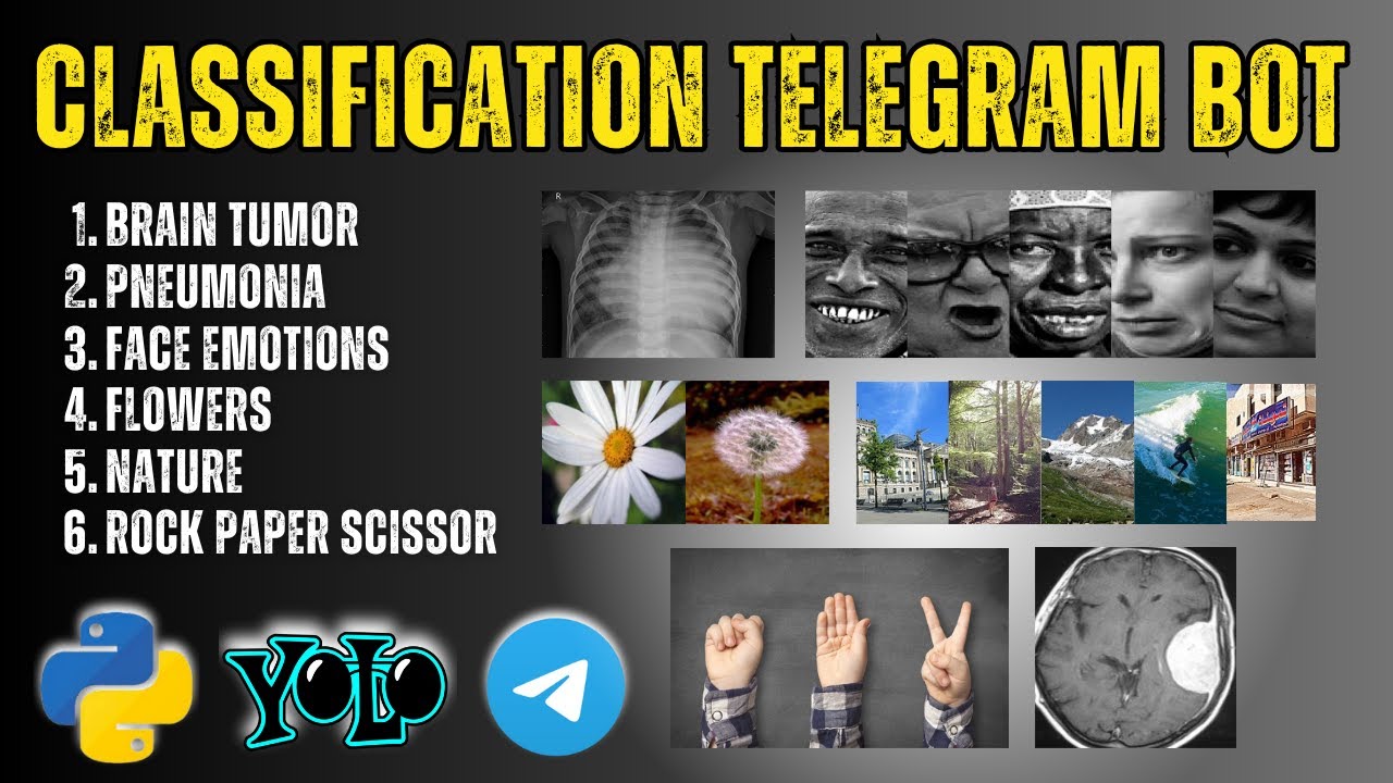 Build a Telegram AI Image Classification Bot with YOLO | Deep Learning Project in Python