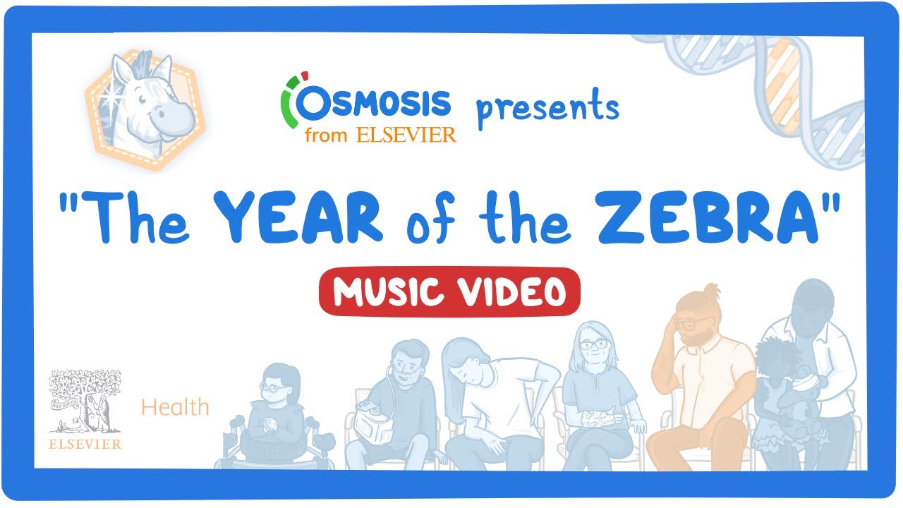 The Year of the Zebra Music Video
