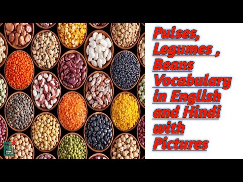 Pulses name | Pulses in english and legumes in hindi | Pulses name hindi | दालों की नाम | Dal names