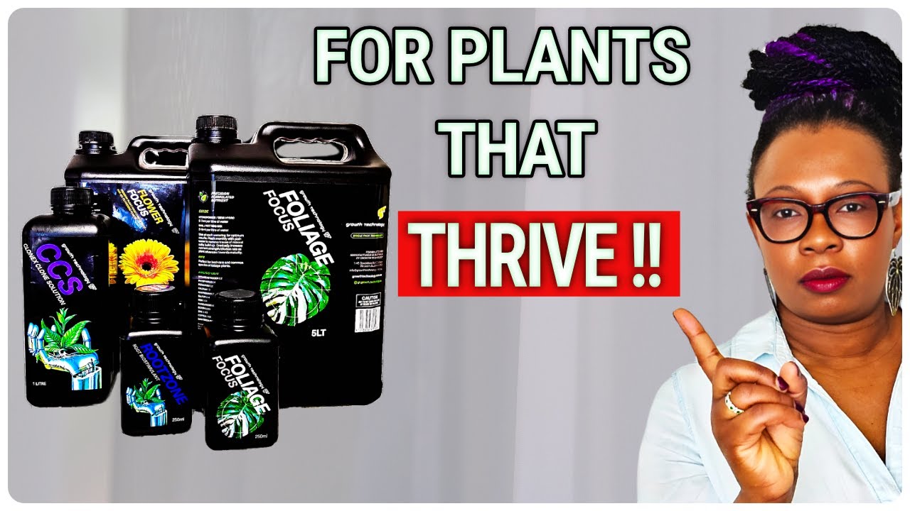 Foliage Focus, Clonex & Root Zone Explained: A BEGINNER'S Guide