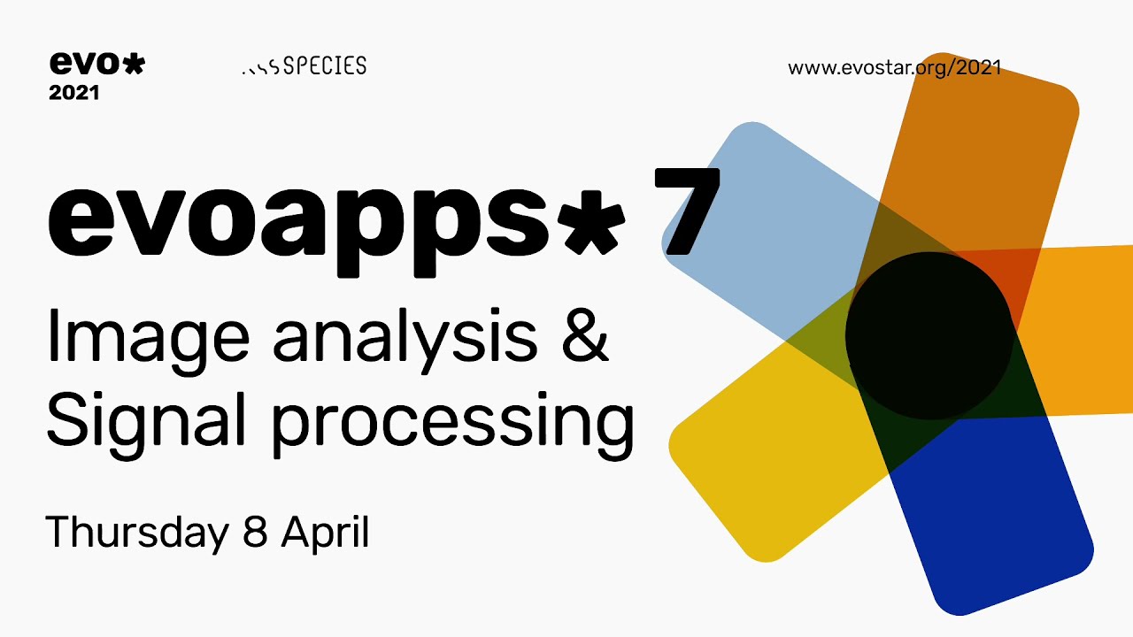 Seyed Jalaleddin- Differential Evolution Algorithm (Learning Process of Multi-Layer Neural Networks)