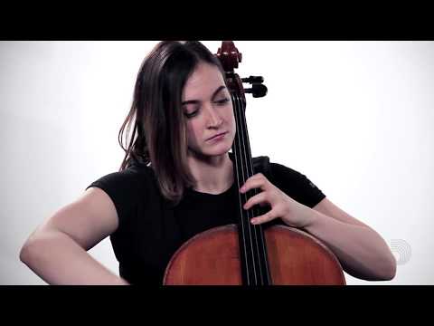 Prim Cello String A Orchestra iMuso