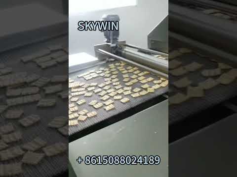 Cracker Biscuit Production Line #biscuit #cookies #factorymachines #machine #productionline #cracker
