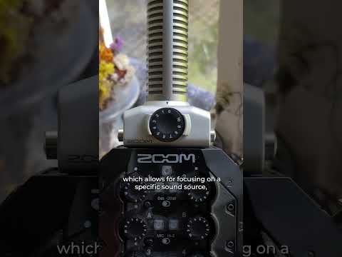 What Can You Do With The SGH-6 Capsule? Zoom H8 vs Sony PCM-D100