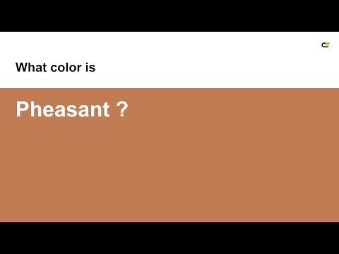 Pheasant color #c17c54 hex color - Yellow color - Cool color c17c54