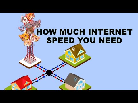How Much Internet Speed You Need
