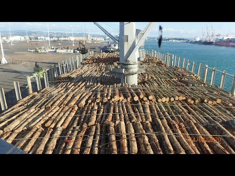 Timber Cargo – Maritime Safety Innovation Lab LLC