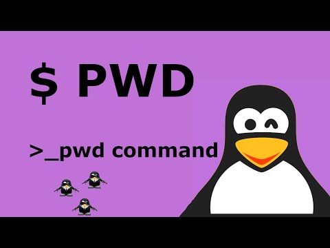 All you need to know about PWD command Linux