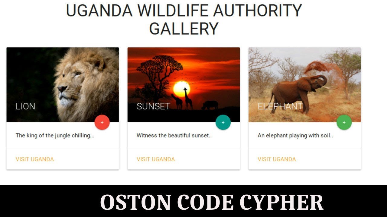 How to create Simple & Responsive Cards using Materialize CSS