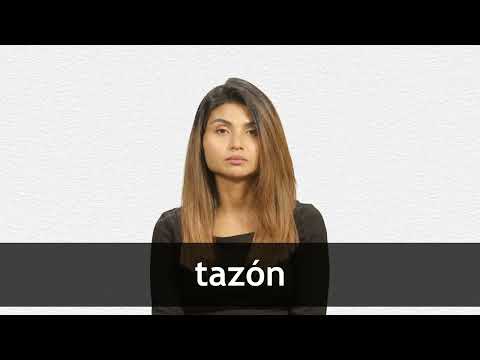 English Translation of “TAZÓN” | Collins Spanish-English Dictionary