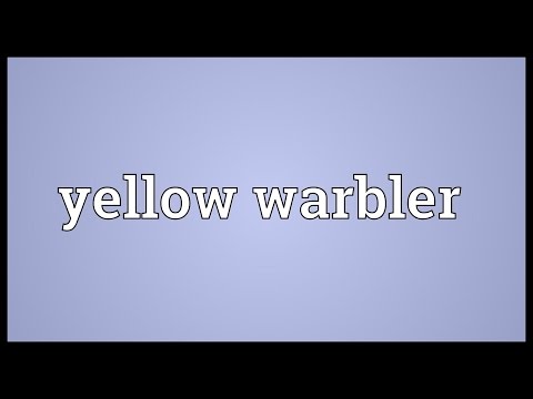 Yellow warbler Meaning