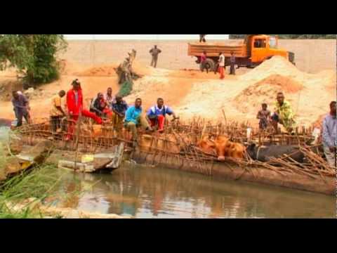 La forêt Congolaise Source de Développement - Le blog de alain Bomboko