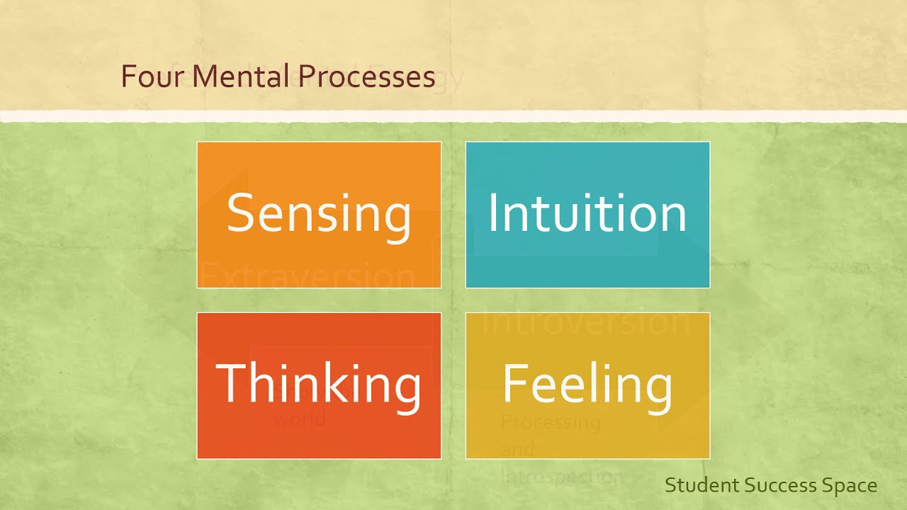 Dynamics of MBTI Type