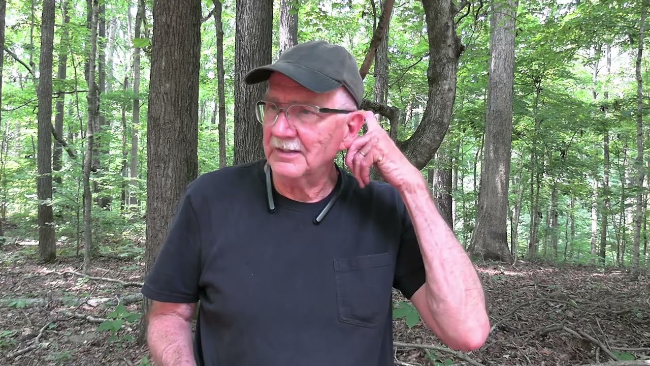 Should I shoot a Collectible Firearm