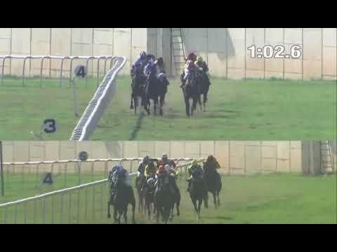 TOP DANCER HORSE S JOHN UP WINS The Valley of Flowers Plate Div-2