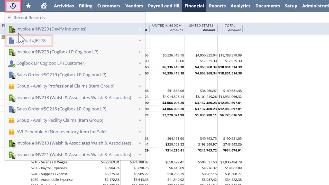 NetSuite SuiteSuccess for Services - Global Financials