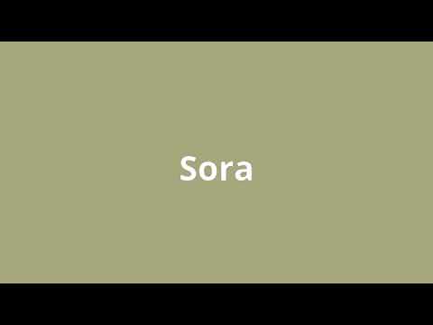 what is the meaning of Sora
