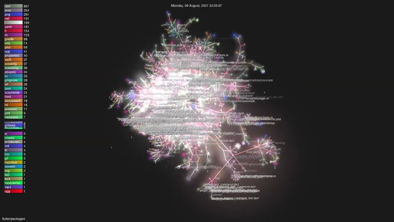 flutter/packages - Gource visualisation