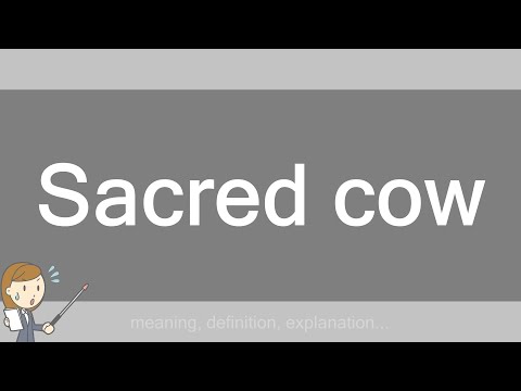 Sacred cow