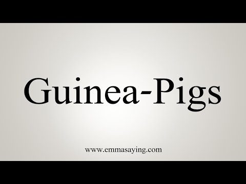 How To Say Guinea-Pigs