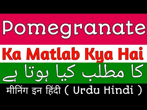Pomegranate Meaning | Pomegranate Meaning In Urdu Hindi | Pomegranate Ka Matlab Kya Hota Hai