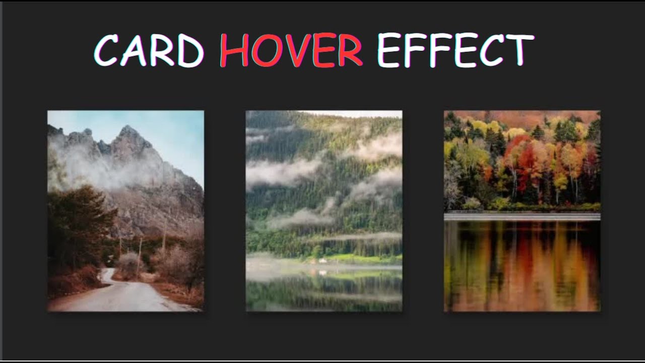 Animated Card Hover Effect Using only CSS
