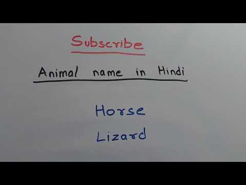 Horse meaning in hindi, Lizard meaning in hindi