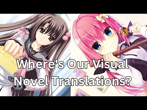 Why Arenβt There MORE Visual Novel Translations? - A Meta Analysis