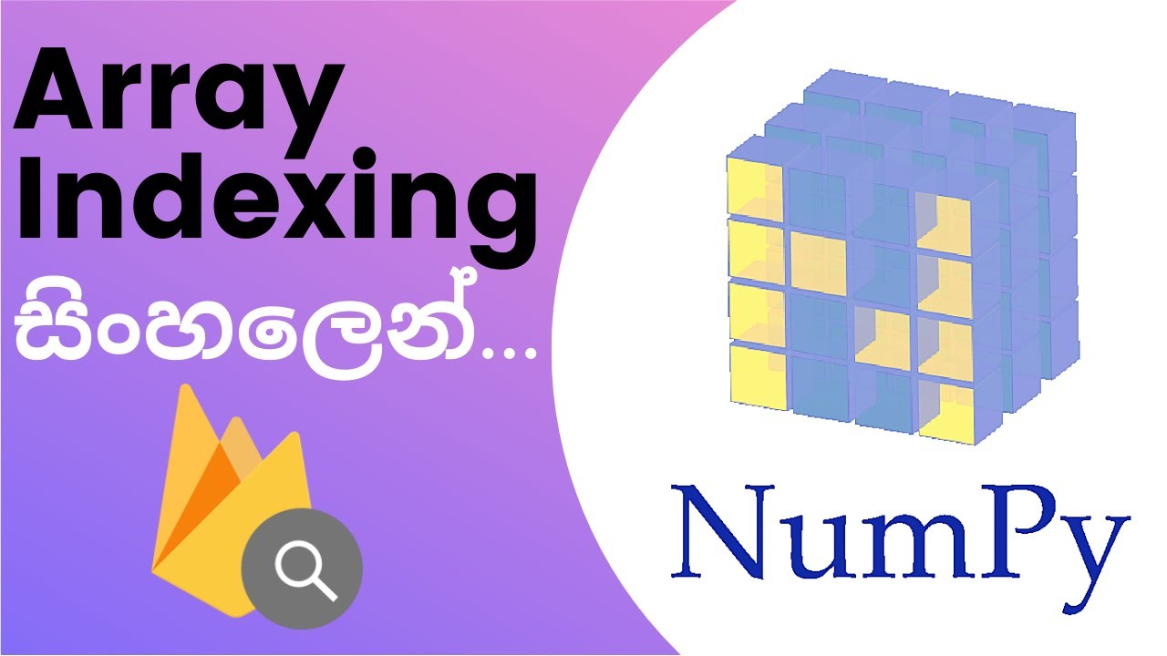 Python Numpy Tutorial - 03 | Array Indexing | Sinhala