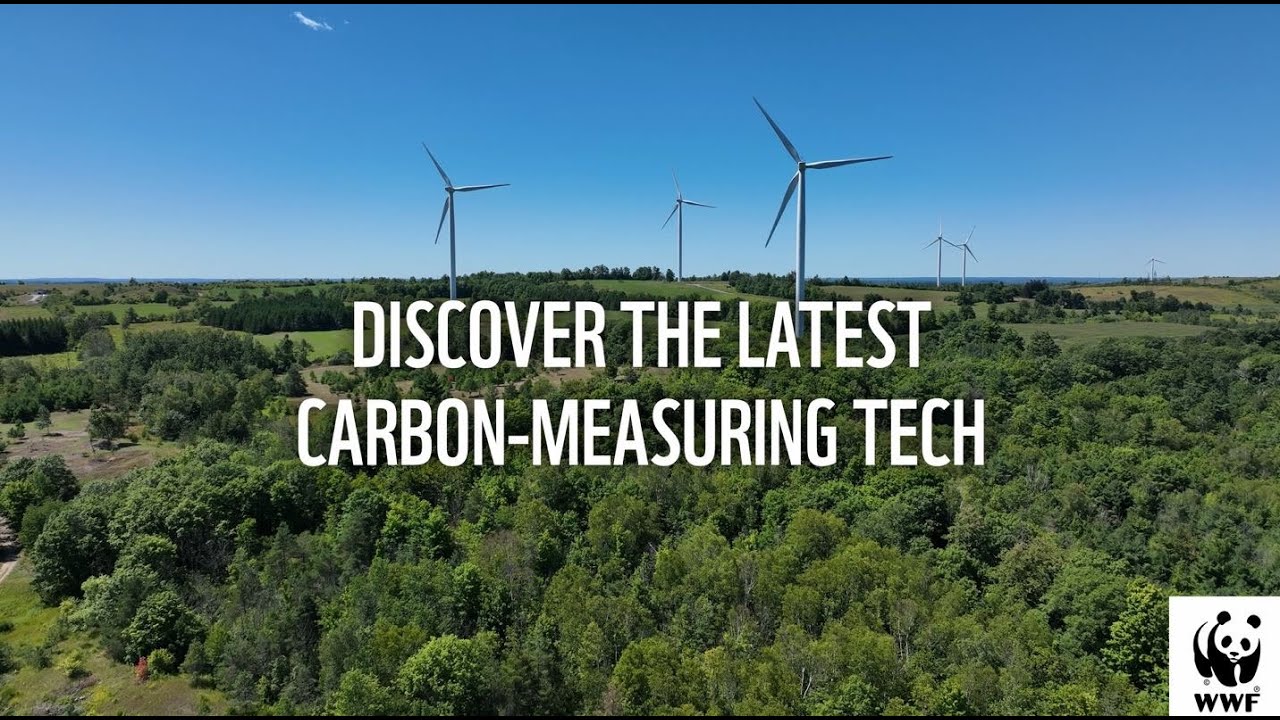 Discover the Latest Carbon-Measuring Tech