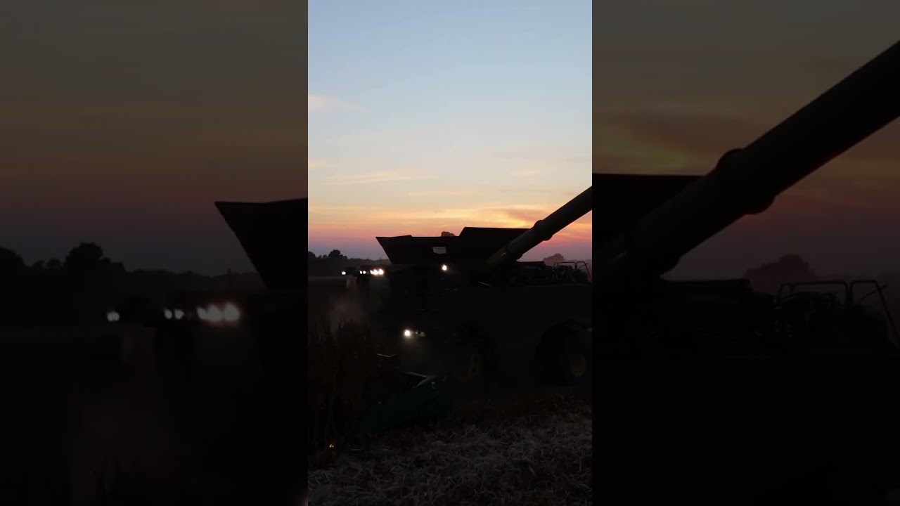 Corn harvest in Kentucky #agriculture #farm #corn