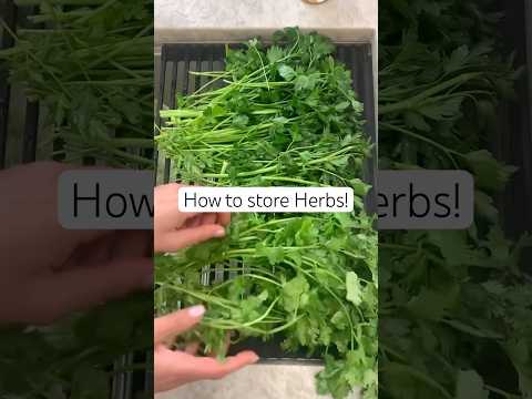How to store fresh herbs so they last weeks! #shorts #herbs