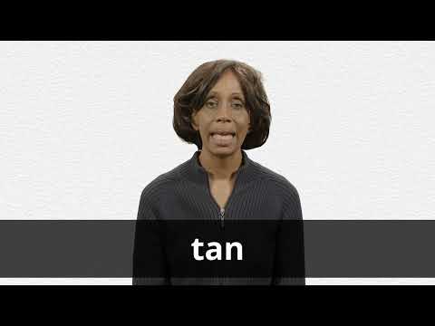 TAN - Learn the Meaning, Synonyms & Translations | Collins English ...