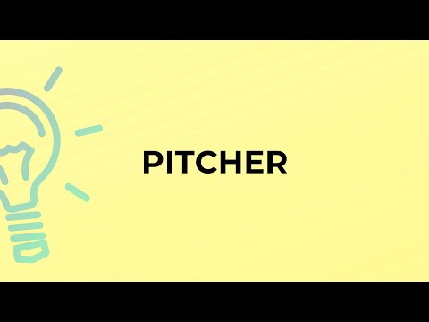 What is the meaning of the word PITCHER?
