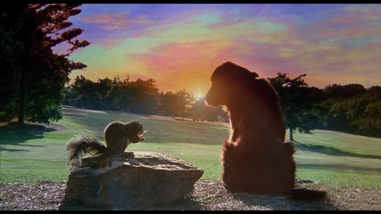 Fluke 1995 Ending 1080p